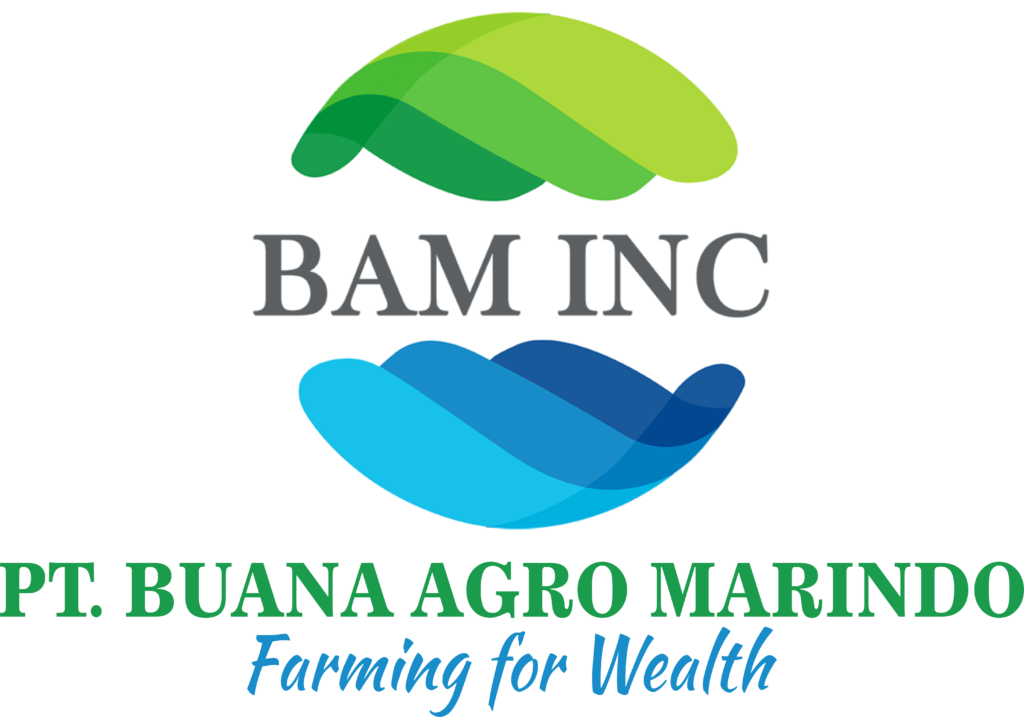 Template - Multi Buana Group